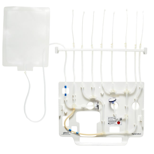 Thermo Fisher Scientific Gibco CTS DynaCellect Cell Isolation Kit | Al ...