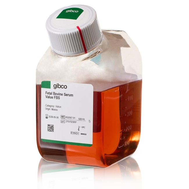 Thermo Fisher Scientific Gibco Fetal Bovine Serum | Al Faiha For Laboratory & Scientific Supplies Co
