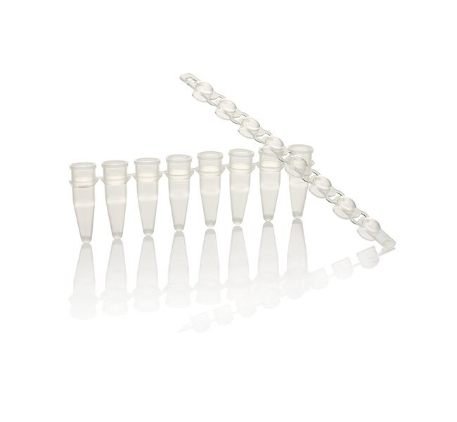 PCR Tubes & Caps, RNase-free, 0.2mL (8-strip format) | Al-Faiha For ...