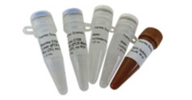 Thermo Fisher ScientificMaxima SYBR Green/ROX qPCR Master Mix (2X ...