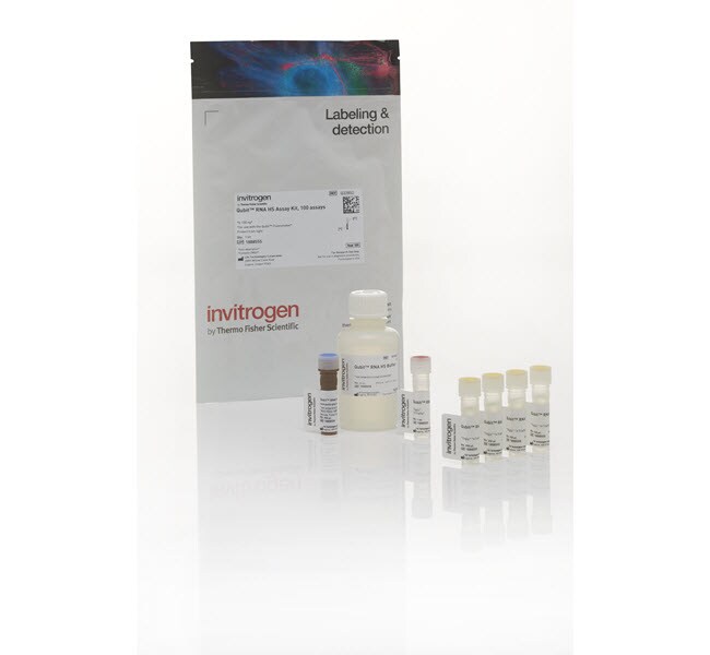 RNA Quantification, High Sensitivity, 4-200ng | Q32852