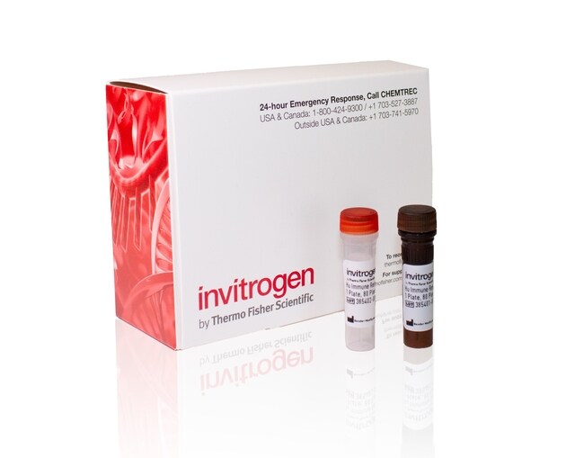 Invitrogen QuantiGene Plex Rat Housekeeping Gene Panel, 6-plex | Al ...