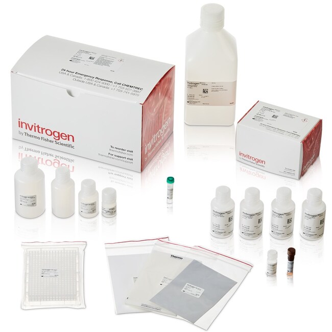 Invitrogen QuantiGene Plex 384-well Assay Kit | Al-Faiha For Laboratory ...